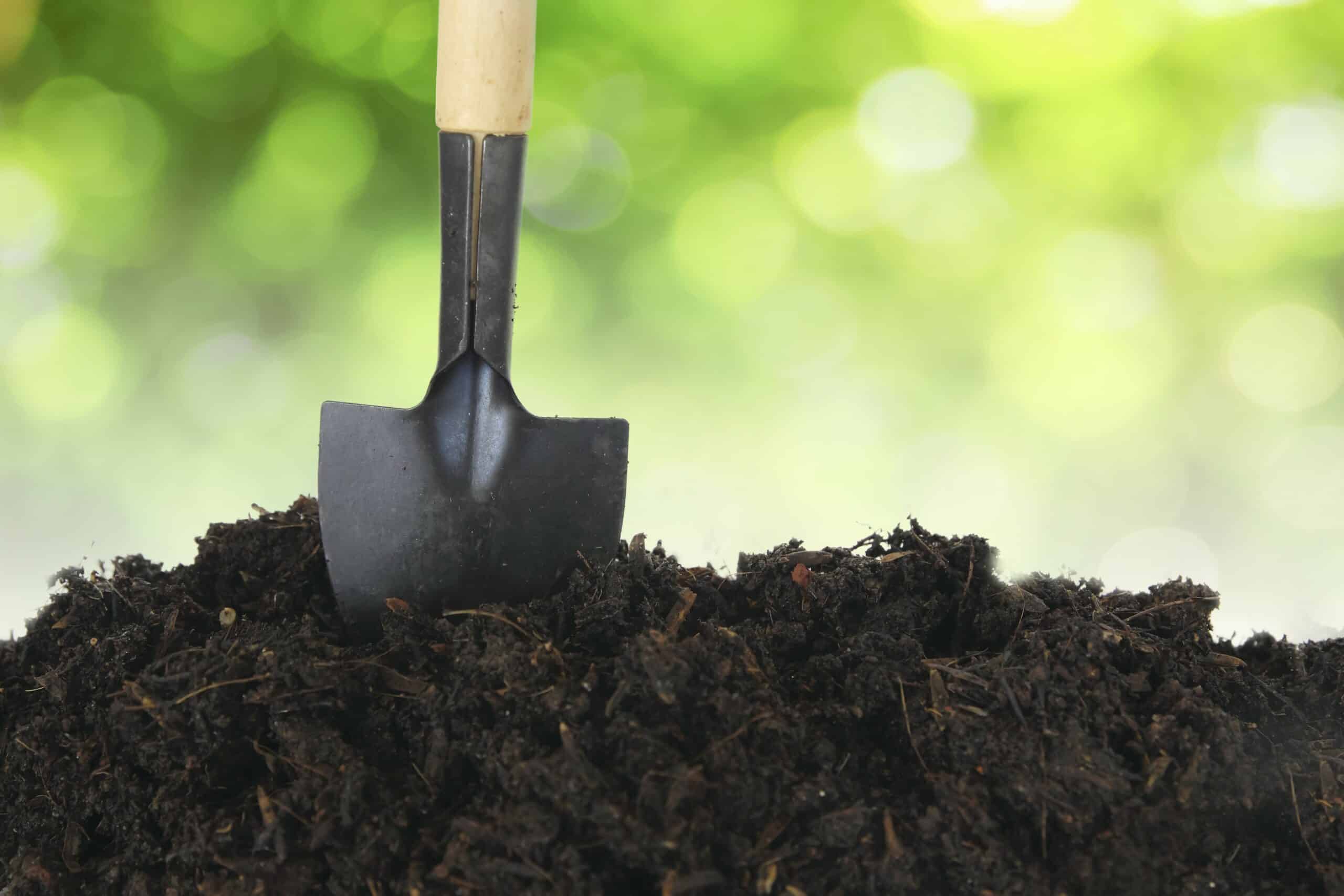 CFE WhatsApp Groups | Densmore